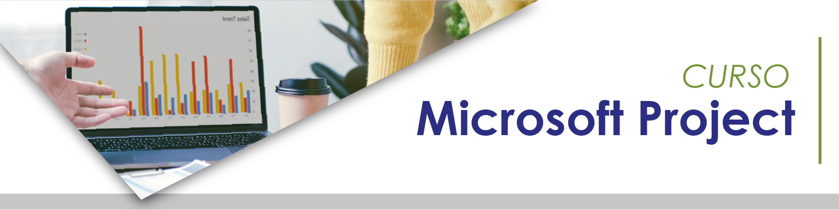 Microsoft Project - SAESAP - Facultad de Ingeniería - USAC